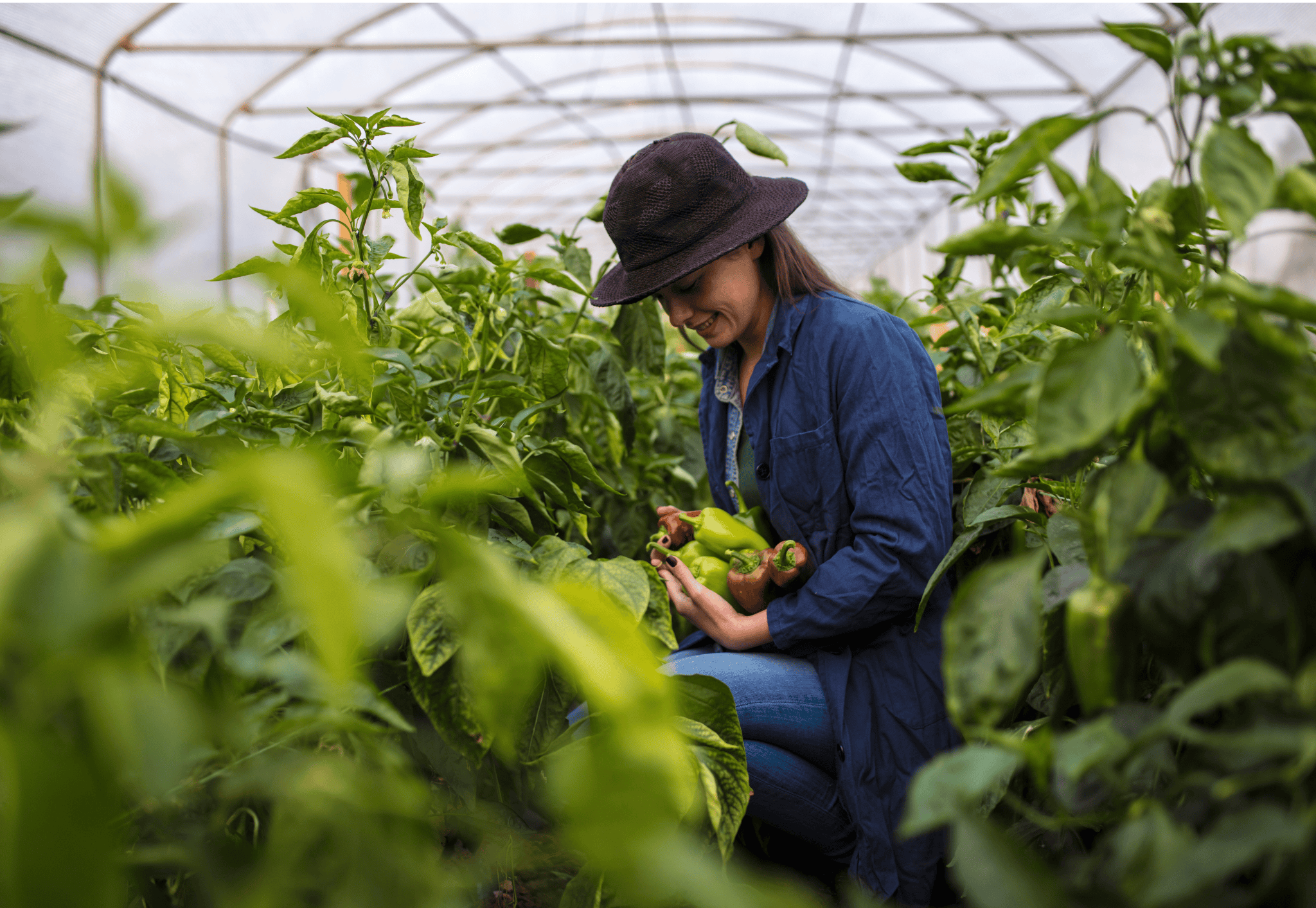Agriculture – keylend.com.au